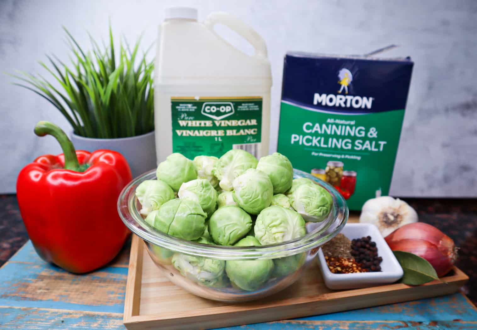 Small Batch Pickled Brussels Sprouts ~ The Recipe Bandit