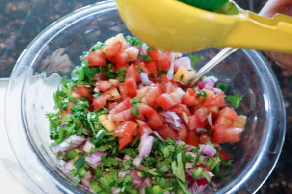 5 Minute Classic Pico De Gallo ~ The Recipe Bandit